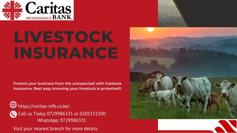 Livestock Insurance – Caritas MFB